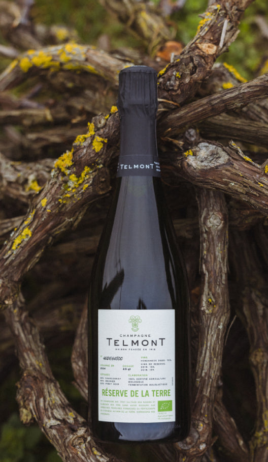 Our collections of brut and extra-brut champagnes | Champagne Telmont