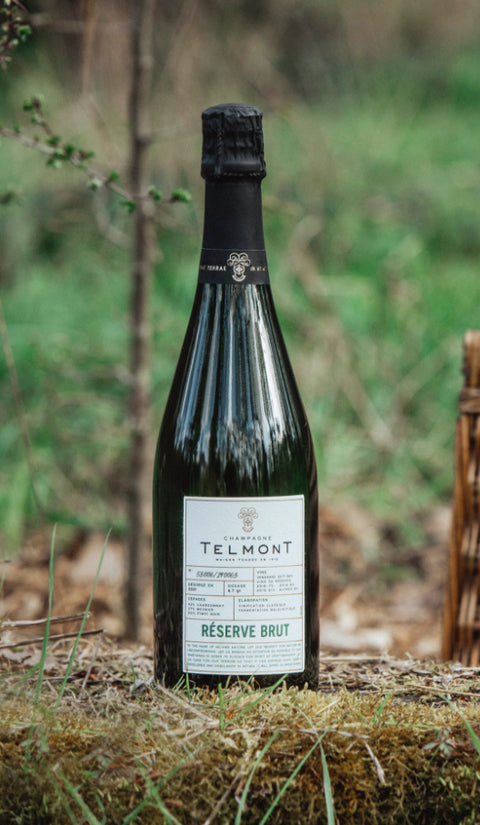 The House of Telmont: a vision for the future | Champagne Telmont