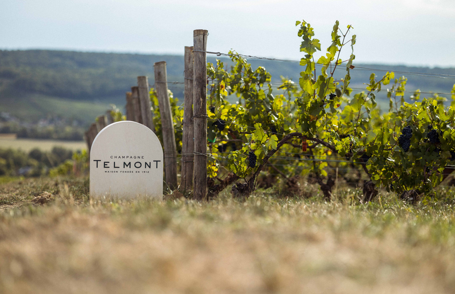 Champagne Telmont, a house founded in 1912 | Champagne Telmont